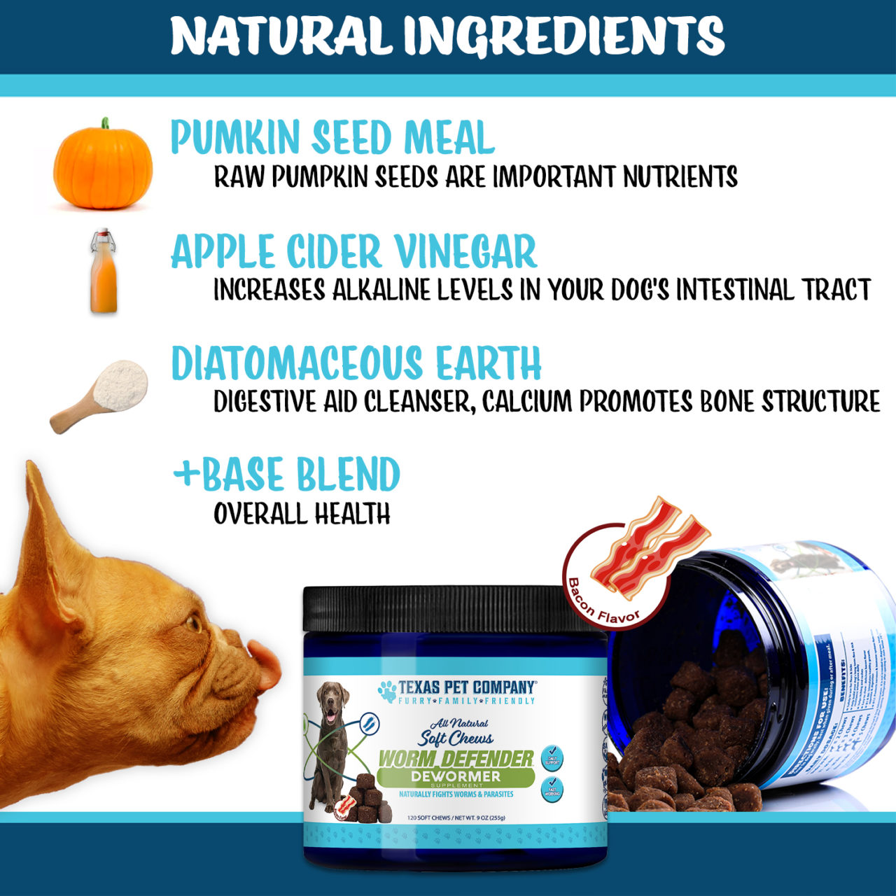 Worm Defender All Natural Dog Dewormer Soft Chews | Texas Pet Company