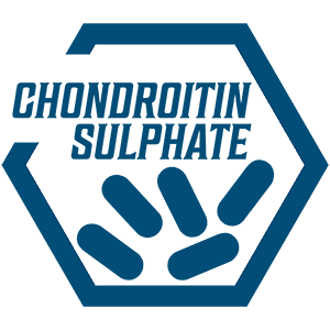 Advanced Hip & Joint Supplements For Dogs | Texas Pet Company