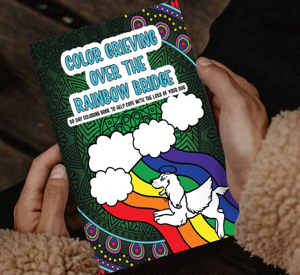 The Rainbow Bridge For Dogs » Texas Pet Company