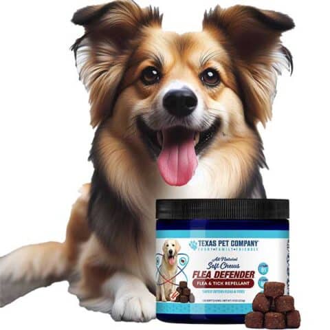 Natural Dog Treats & Supplements Store | Texas Pet Company